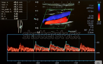 northerncardiovascular